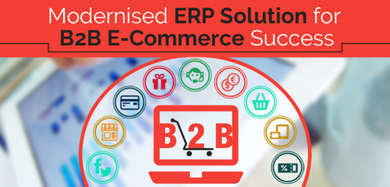 How can an ERP Solution help you Succeed in your B2B E-Commerce Journey?