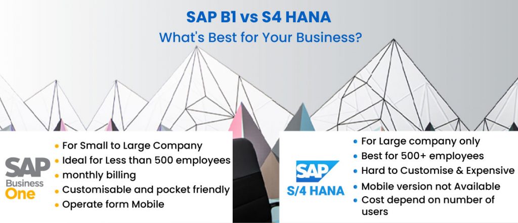 SAP B1 vs S4 HANA Cloud: Differences Between Top 2 SAP ERP