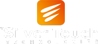 Partner with Silver Touch for a Successful 2017 | Silver Touch